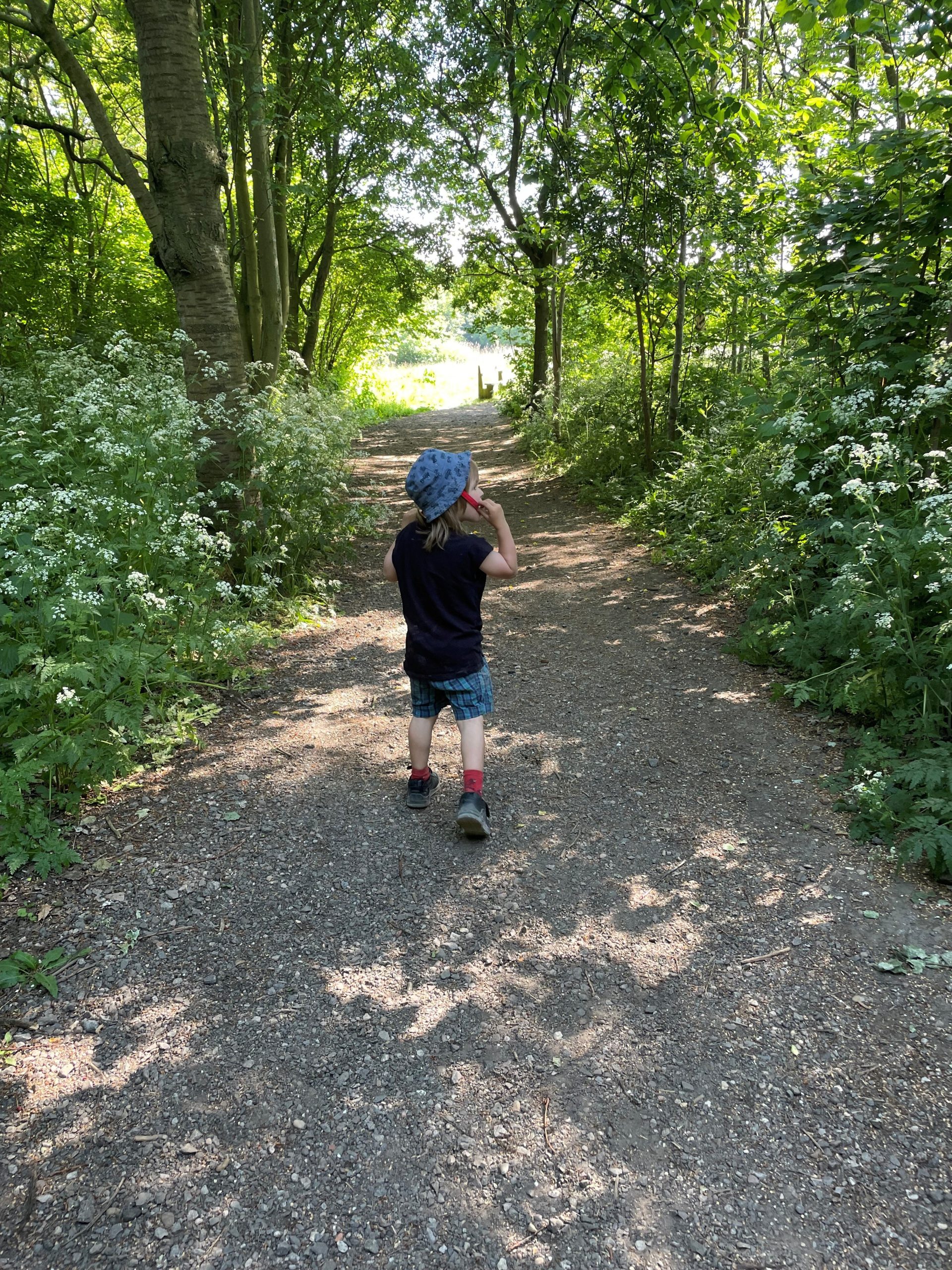 Walks with Kids: 7 Brilliant Tips for Nature Fun Without Whining